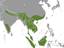Research | Himalayan Otter Network